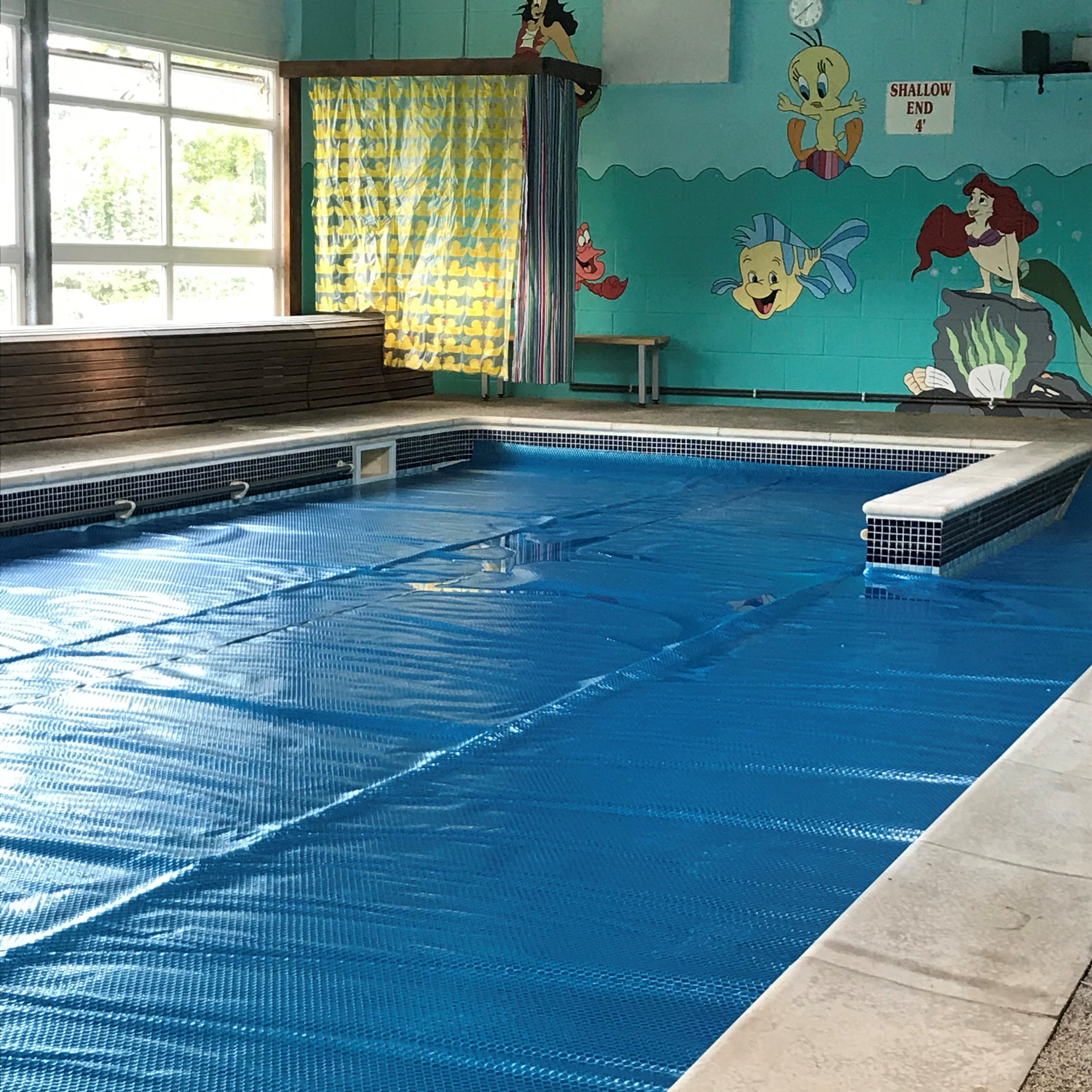 Swimming fun! — PJL Healthcare